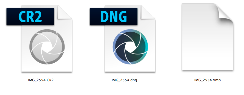 I file Raw e il formato DNG - Antonio Starace